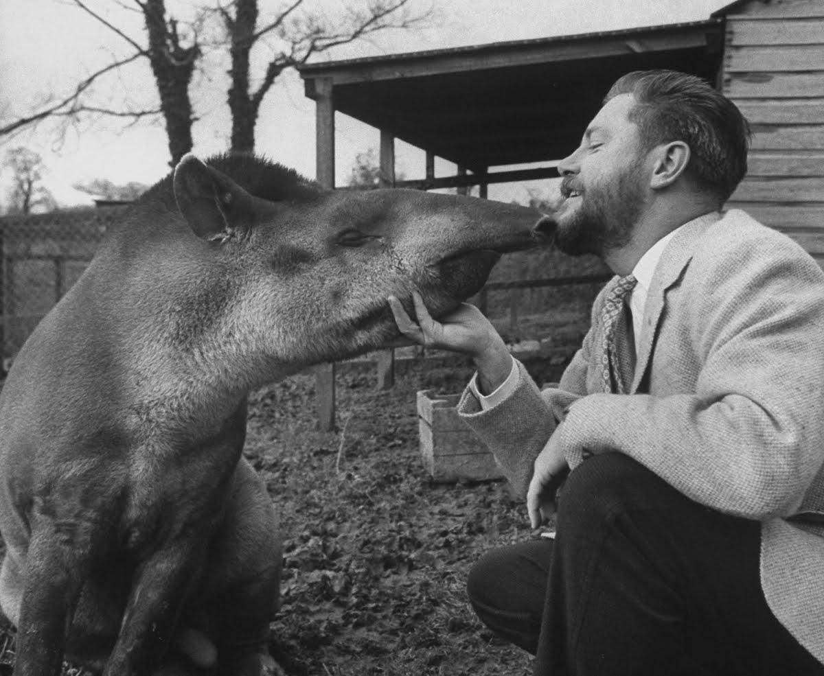 Gerald Durrell — Google Arts & Culture