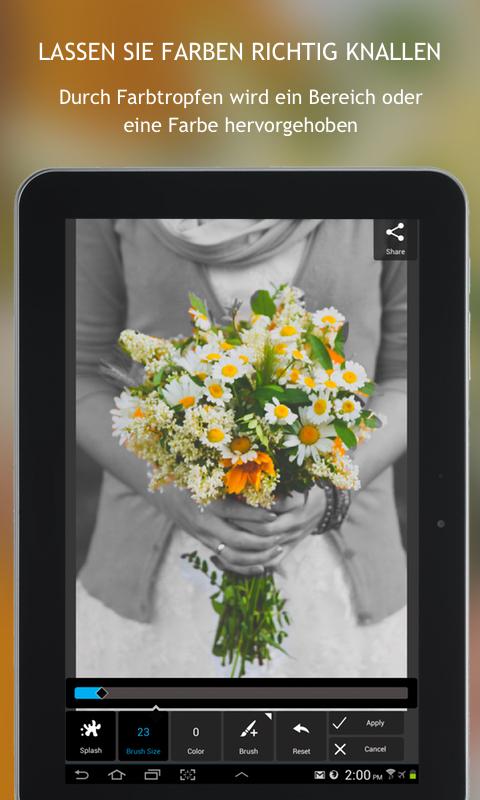 Autodesk Pixlr - screenshot