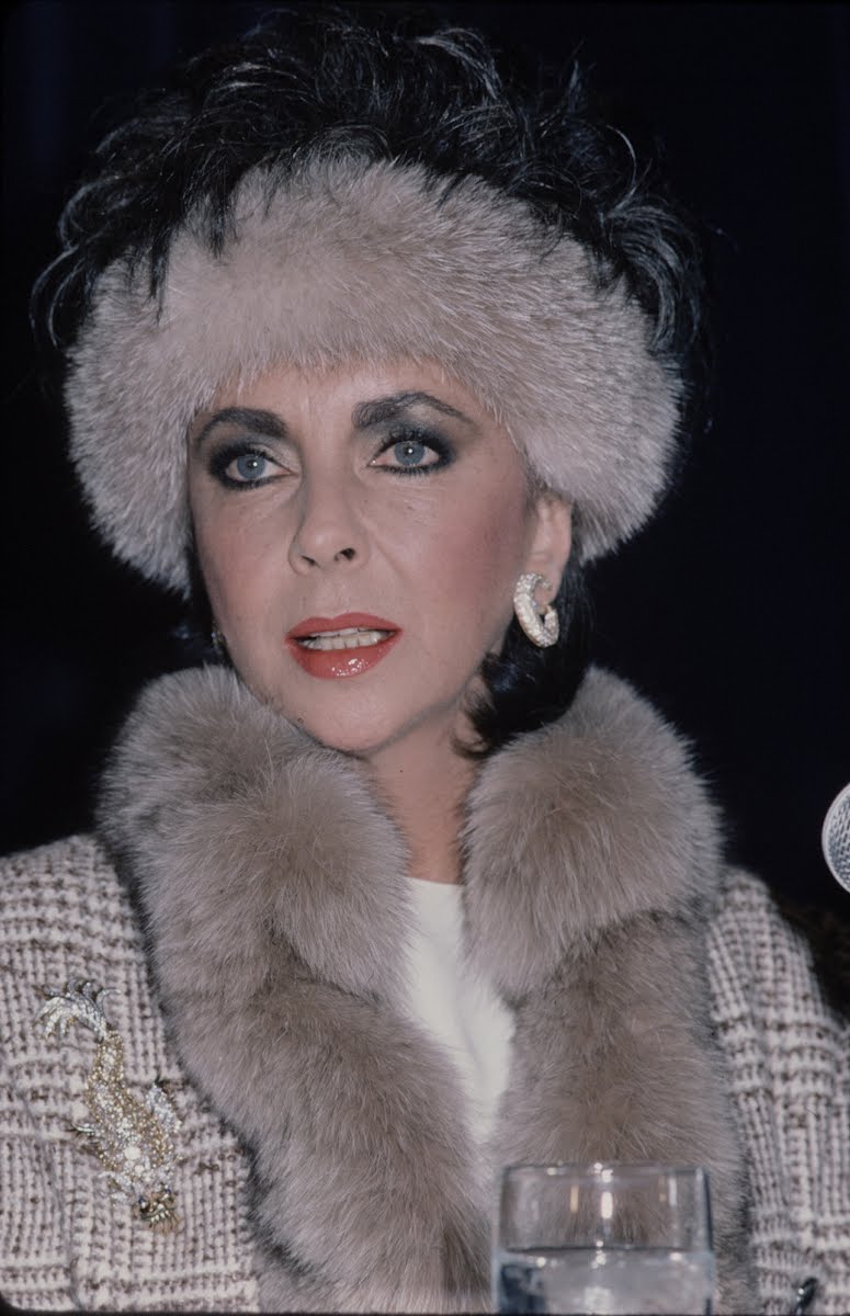 Elizabeth Taylor 1986 — Google Arts & Culture
