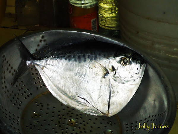 Moonfish | Project Noah