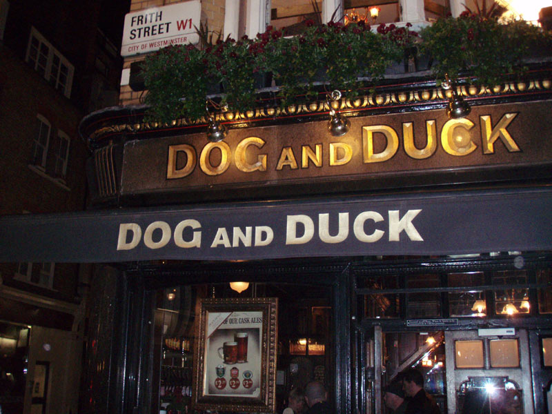 notHamilton - Pub diary: Dog and Duck