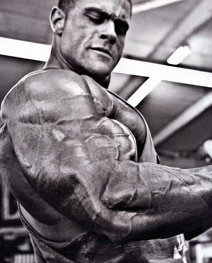 Male Bodybuilder Gallery 7 - Never Too Big