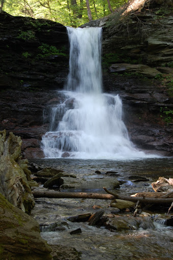 Murray Reynolds Falls, Pennsylvania – Waterfall Record