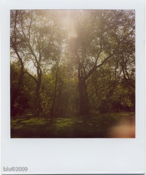 In the Dark—Chasing Light: Fall Polaroid Week Begins