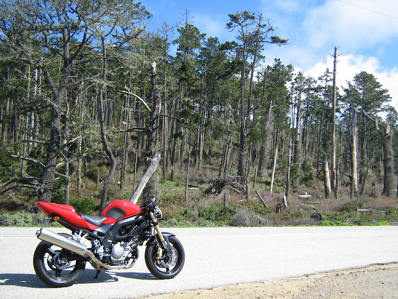 Been riding? Let's see. | Suzuki SV650 Riders Forum