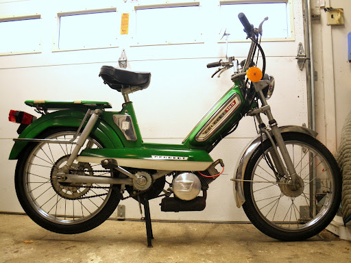 my first pug — Moped Army