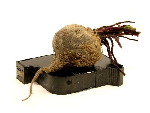 The Mostly Color Channel: Beet Spectrum