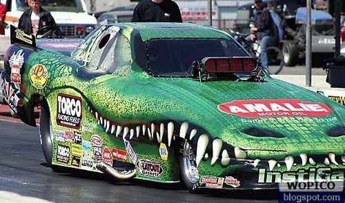 Wonderful Pictures Collection 2: Crocs Car