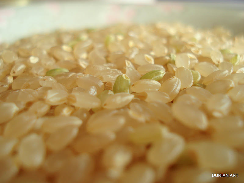 Kuri 2. With new genmai. Special chestnut rice. | GOURMANDE in OSAKA