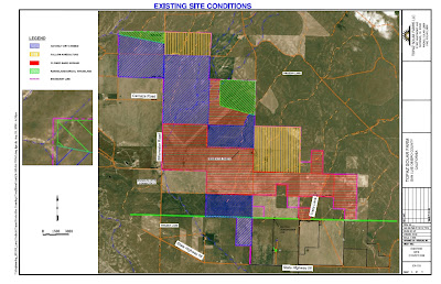OptiSolar Optimism | GUNTHER Portfolio