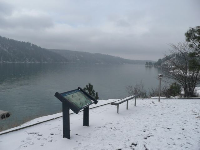Eagle Watch (live, pictures, work) - Idaho (ID) - City-Data Forum