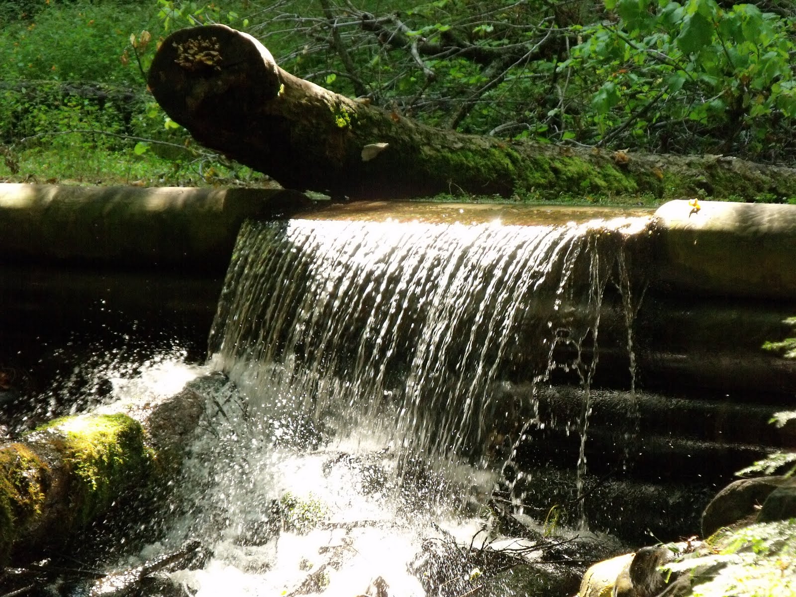 Northern Information Sights: Iargo Springs