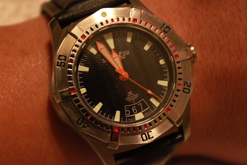 new diver arrived today! (nauticfish advance 300) | WatchUSeek Watch Forums