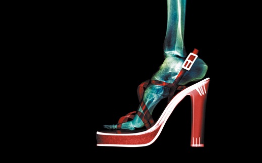 Neev 2 U: Amazing X-Ray View Desktop Wallpapers