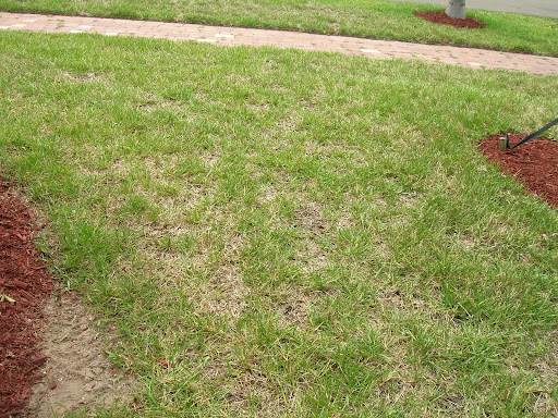 Why I Fired the Lawn Guy