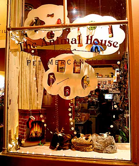 Vote in the 2010 Lower Haight Holiday Window Contest!