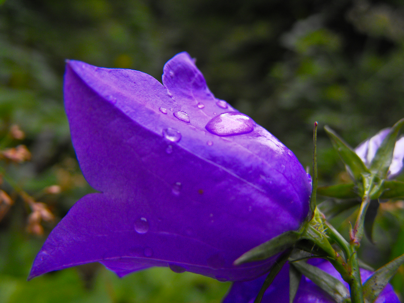 Bucegii in August - pe Cheile Zanoagei Mari | meetSun.ro