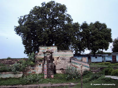 Trekking Experiences!