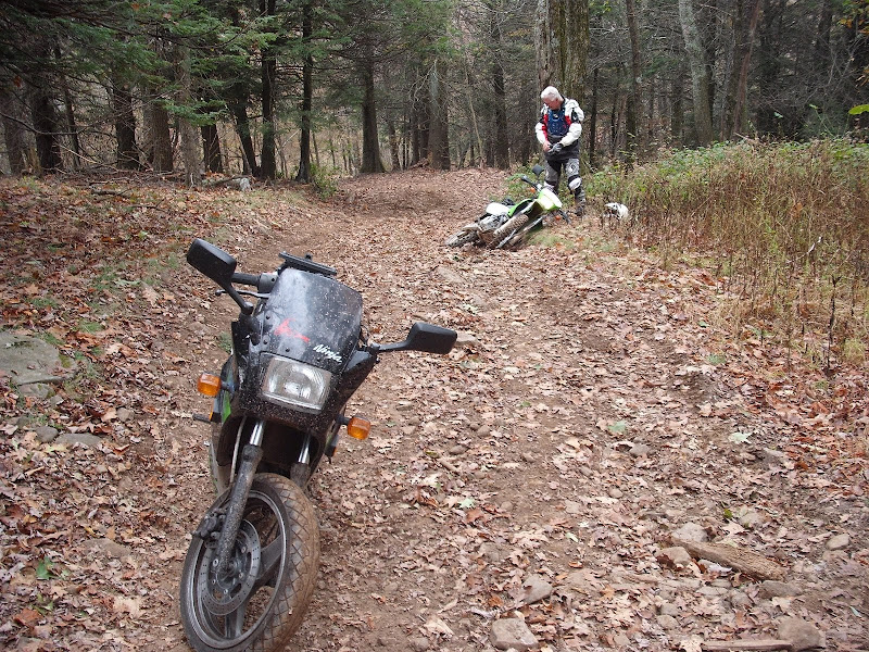 Shenandoah 500 pics- TONS! | Adventure Rider