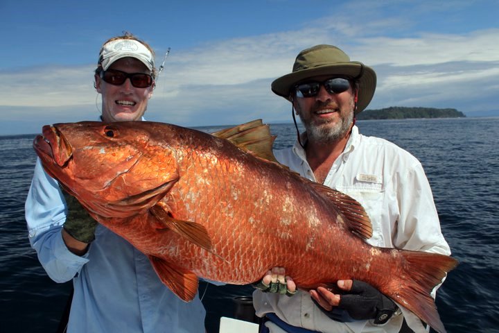 Jigging and Popping in Costa Rica | 360 Tuna Fishers Forum