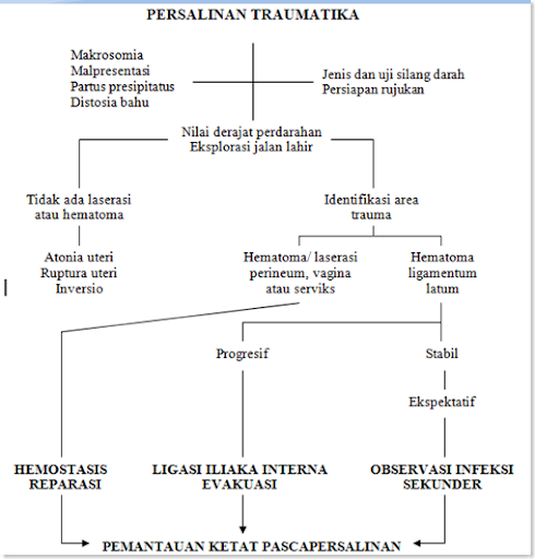 Perdarahan Post Partum ~ Seputar Kedokteran