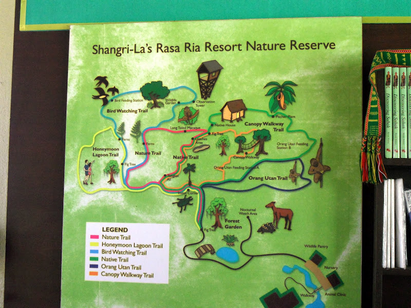 Feeding orangutans at the Rasa Ria Nature Reserve – Kota Kinabalu ...