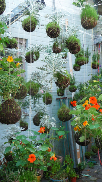 ii-ne-kore: string gardens