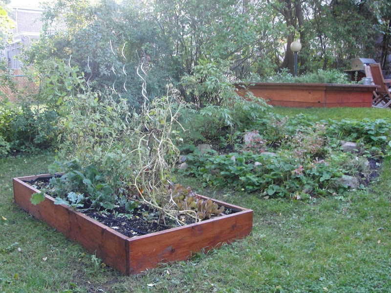 Planter Boxes | farm in the city
