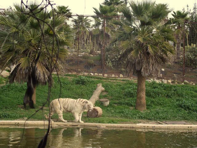 Zoos del Mundo - Zoo de Sevilla - Otros zoológicos españoles