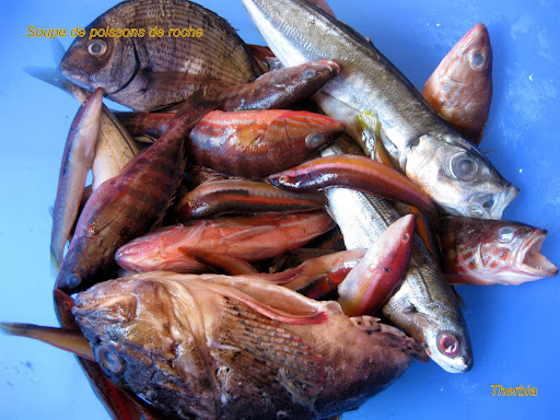 Soupe de poissons de roche
