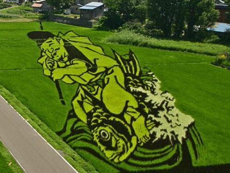 The Amazing Rice Paddy Art of Japan | Amusing Planet