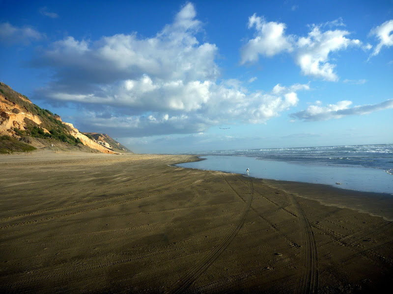 Pushpin Pilgrim: Bayly's Beach - New Zealand's Longest Beach