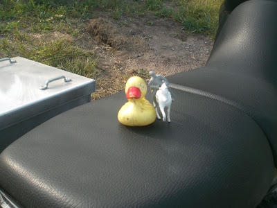 Northwestern VA Tag! | Page 8 | Adventure Rider