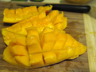 chow with chow: 2010