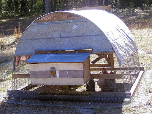 turkey tractor design. need help! | BackYard Chickens - Learn How to ...