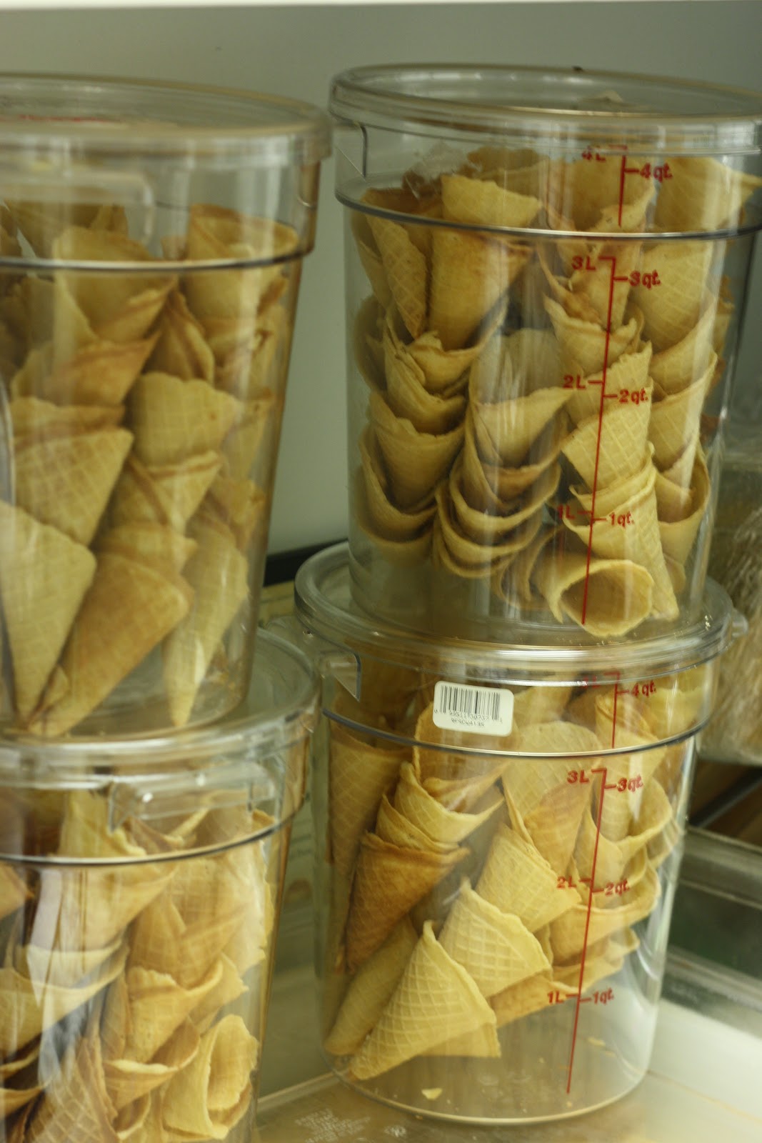 The Culinary Lens Mini Waffle Cones