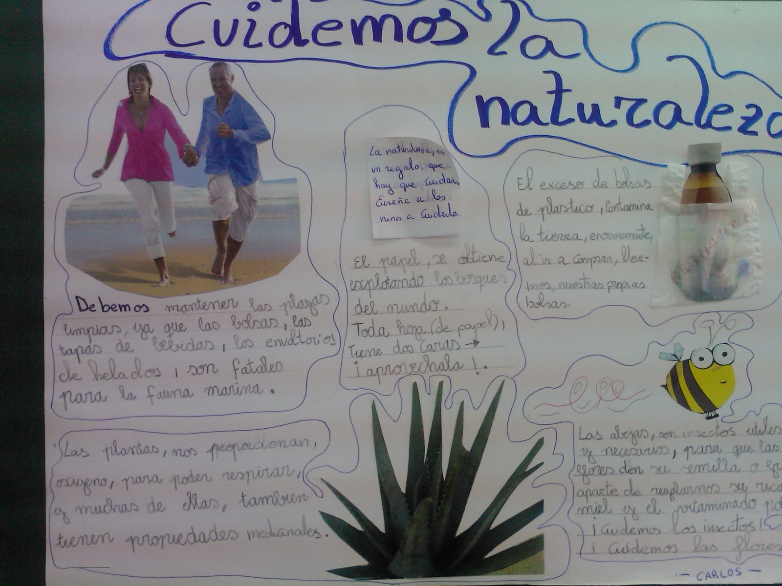 BLOG PRIMERO A: PROTECCION DE LA NATURALEZA