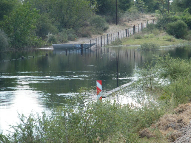 Gumare - JungleKey.fr Wiki