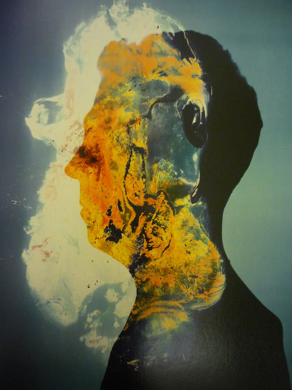 Le Zèbre bleu: ADAM FUSS