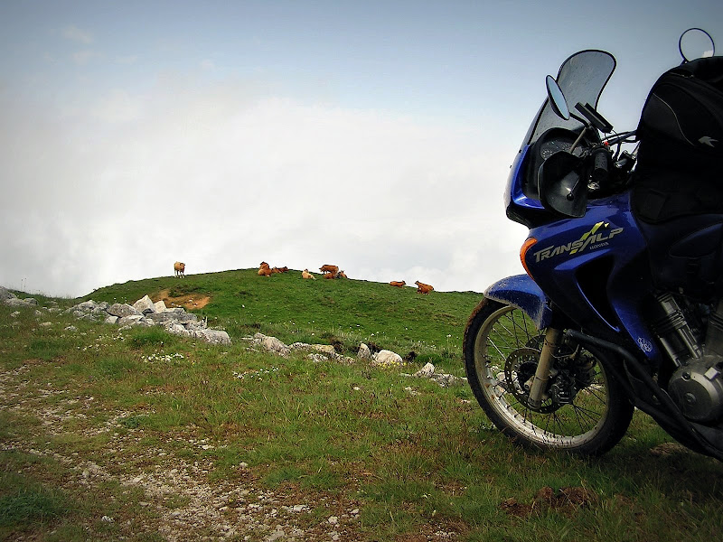 Μια βολτα στον Κισσαβο (30/05/09)