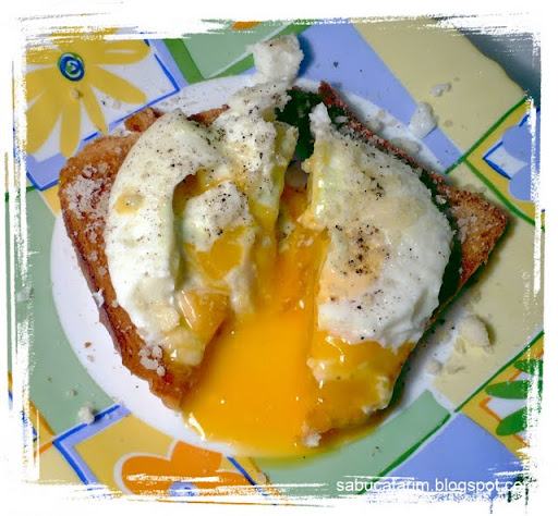 Ochiuri în apă cu brânză rasă – Să bucătărim