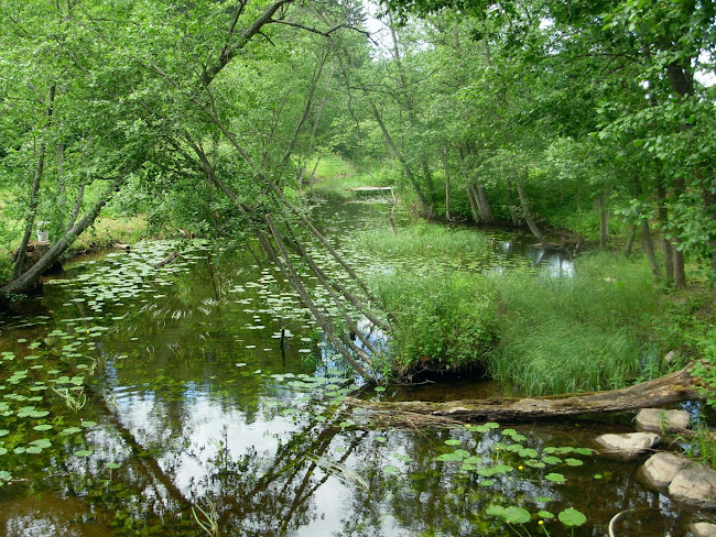 Smile to the world...: Beautiful Estonian nature
