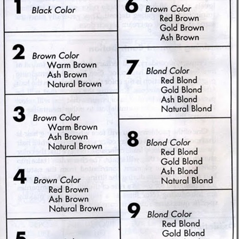 How To Achieve a Level 8 Hair Color, the Most Difficult Of All Colors ...