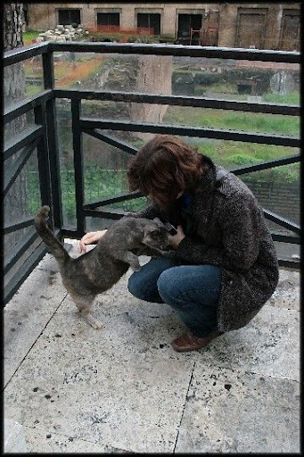 La Gatera de Rumbo: Roma, Ciudad Gatuna