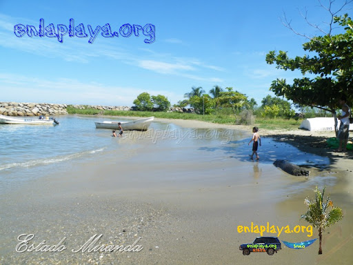 Playas del Estado Miranda