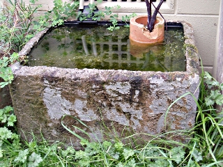 Portable plastered polystyrene pond projects | AquariaCentral.com