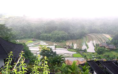 Green View at Pacung