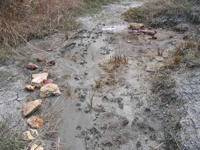 Horst Happenings....: Saturday Trip To The Shale Pit