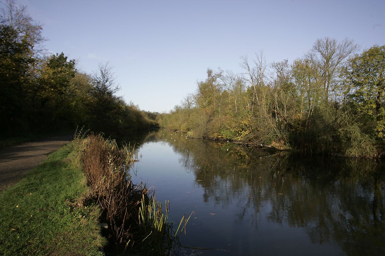 Wanstead Birder: Wanstead Park, part 2