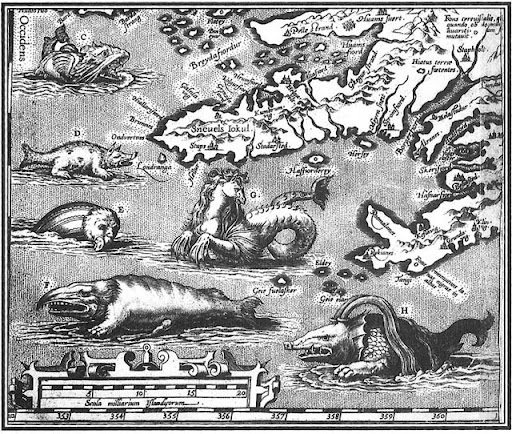 various sea monsters | Sea monsters, Old map, Sea map